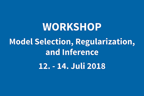 Workshop Model Selection, Regularization, and Inference
